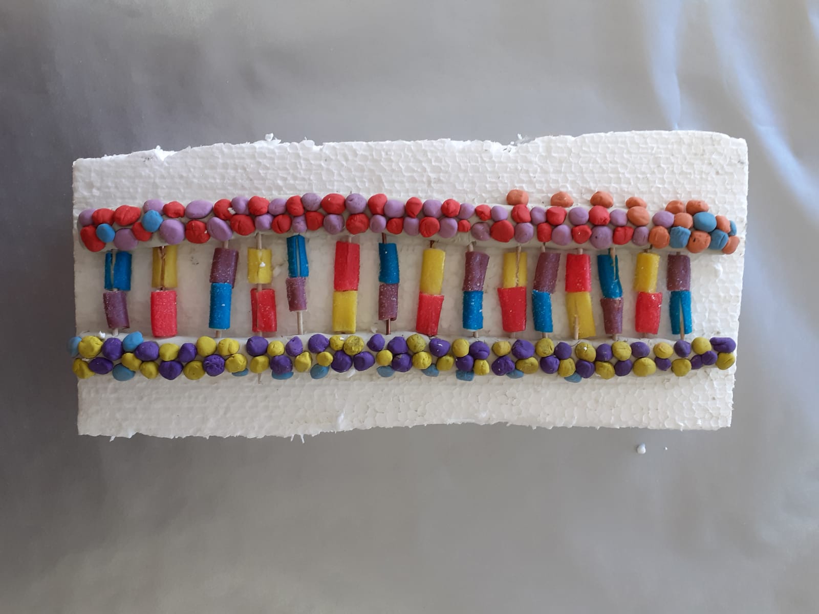 Najkreativniji radovi DNA molekule – OS Ivana Mazuranica